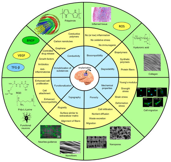 Toward a New Generation of Bio-Scaffolds for Neural Tissue Engineering ...