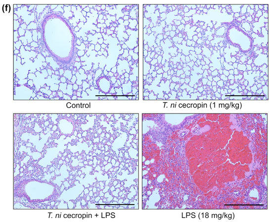 Pharmaceutics | Free Full-Text | Characterization of the Antimicrobial Activities of ...