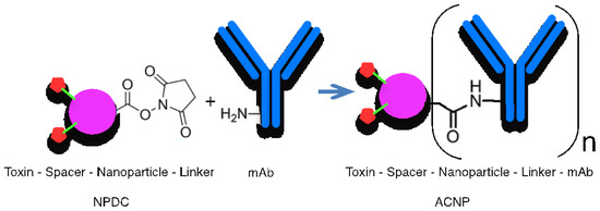 Business Risk Mitigation in the Development Process of New Monoclonal ...