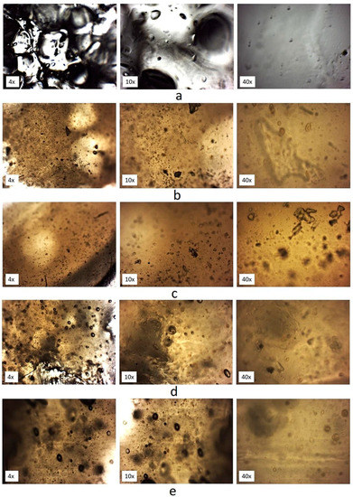 Propolis as a Cariostatic Agent in Lozenges and Impact of Storage ...