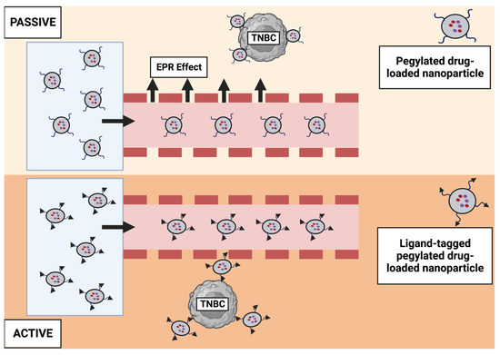 Triple Negative Breast Cancer Treatment Options and Limitations: Future ...
