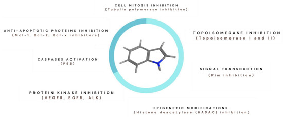 Indole Antitumor Agents in Nanotechnology Formulations: An Overview