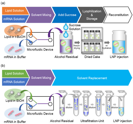 Development of an Alcohol Dilution–Lyophilization Method for the Preparation of mRNA-LNPs with ...