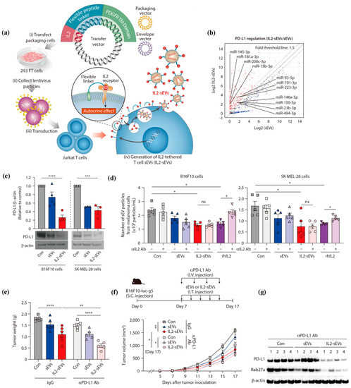 Biomimetic Cell-Derived Nanoparticles: Emerging Platforms for Cancer Immunotherapy