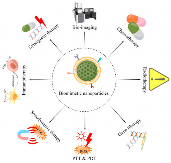 Biomimetic Cell-Derived Nanoparticles: Emerging Platforms for Cancer Immunotherapy