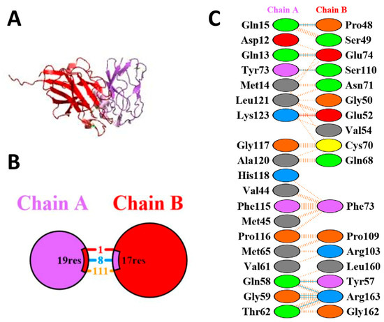 Computational Modeling, High-Level Soluble Expression and In Vitro ...