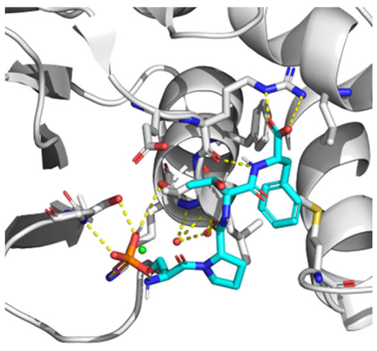 BRCT Domains: Structure, Functions, and Implications in Disease—New ...