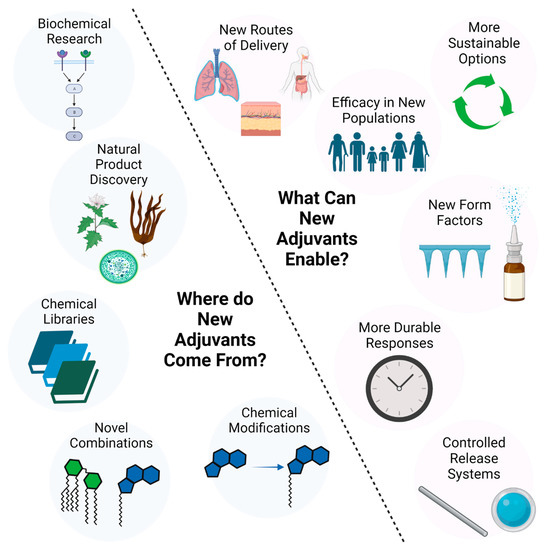 Practical Considerations for Next-Generation Adjuvant Development and ...