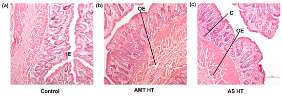 Rectal Bioavailability of Amoxicillin from Hollow-Type Suppositories ...