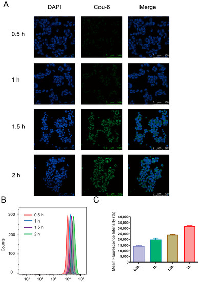 Development of Novel Paclitaxel-Loaded ZIF-8 Metal-Organic Framework Nanoparticles Modified with ...