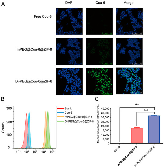 Development of Novel Paclitaxel-Loaded ZIF-8 Metal-Organic Framework Nanoparticles Modified with ...