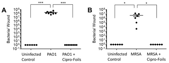 Ciprofloxacin-Loaded Polyvinylpyrrolidone Foils for the Topical ...