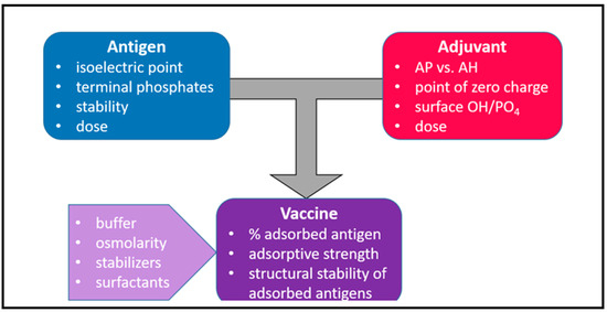 Aluminum Adjuvants—‘Back to the Future’