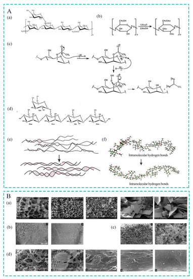 A New Biomaterial Derived from Aloe vera—Acemannan from Basic Studies ...