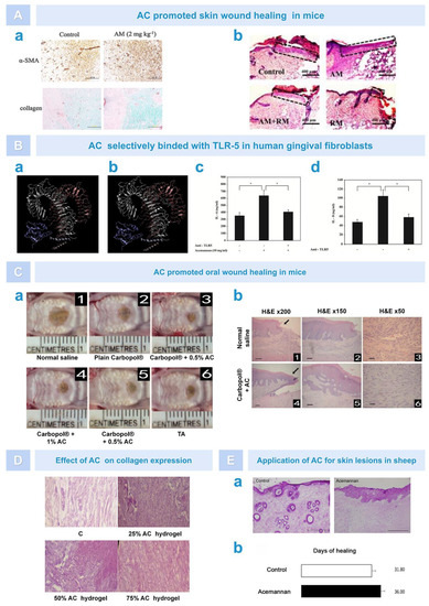 A New Biomaterial Derived from Aloe vera—Acemannan from Basic Studies ...