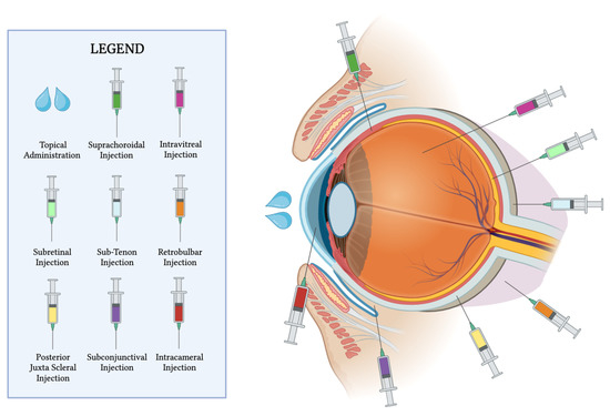 Pharmaceutics | Free Full-Text | A New Era in Ocular Therapeutics: Advanced Drug Delivery ...