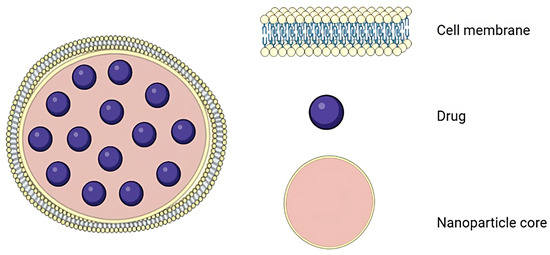Exploring the Microfluidic Production of Biomimetic Hybrid ...