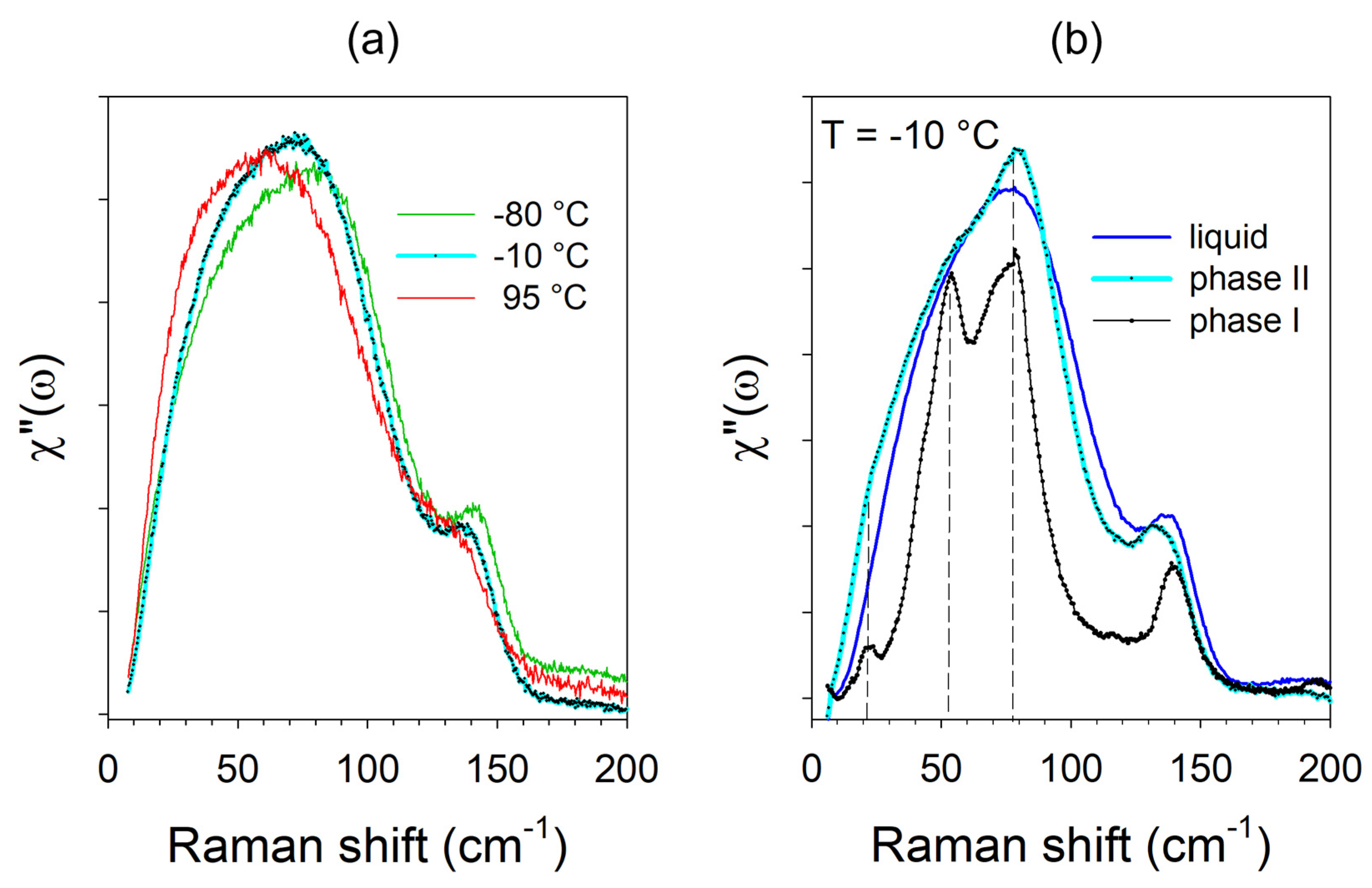 Low-Frequency Raman Spectroscopy: An Exceptional Tool for Exploring ...