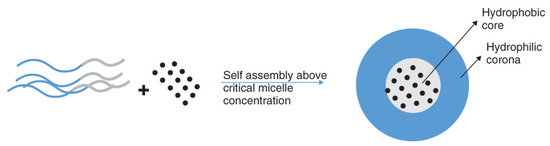 Biomaterial Drug Delivery Systems for Prominent Ocular Diseases