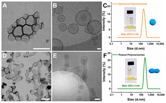 Inherently Fluorescent Peanut-Shaped Polymersomes for Active Cargo ...