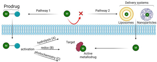 From the Discovery of Targets to Delivery Systems: How to Decipher and ...