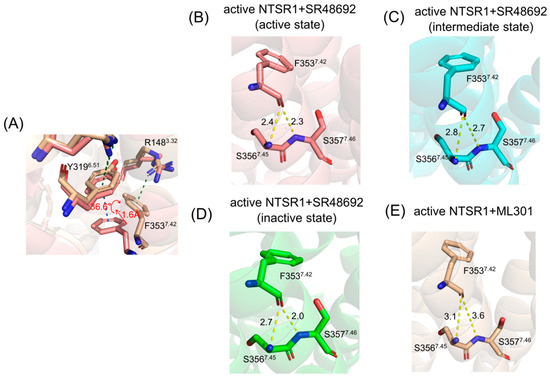 Mechanistic Elucidation of Activation/Deactivation Signal Transduction ...