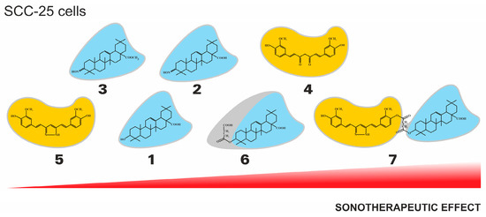 Curcumin–Triterpene Type Hybrid as Effective Sonosensitizers for ...