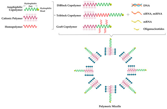Pharmaceutics | Free Full-Text | Polymeric-Micelle-Based Delivery Systems for Nucleic Acids