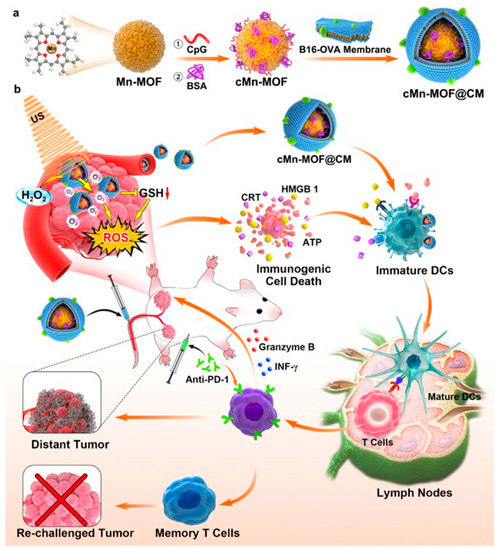 A Novel Platform of MOF for Sonodynamic Therapy Advanced Therapies