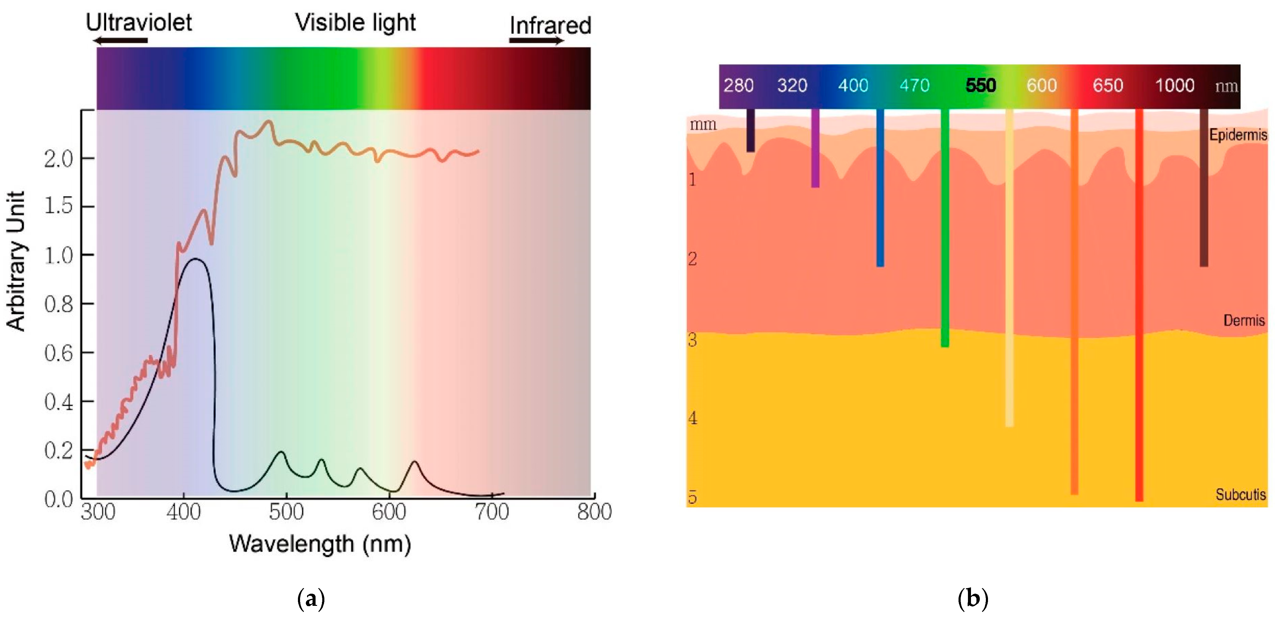 Advanced Light Source Technologies for Photodynamic Therapy of Skin ...
