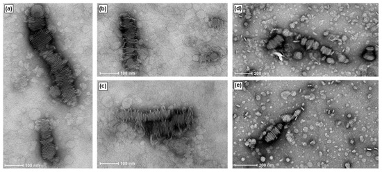 Delivery of RNA to the Blood-Brain Barrier Endothelium Using Cationic ...