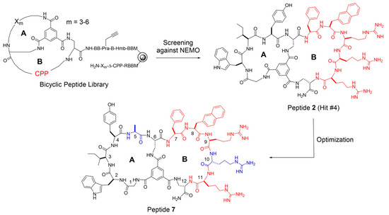 Recent Advances of Cell-Penetrating Peptides and Their Application as ...