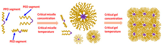 Pluronic F-68 and F-127 Based Nanomedicines for Advancing Combination ...
