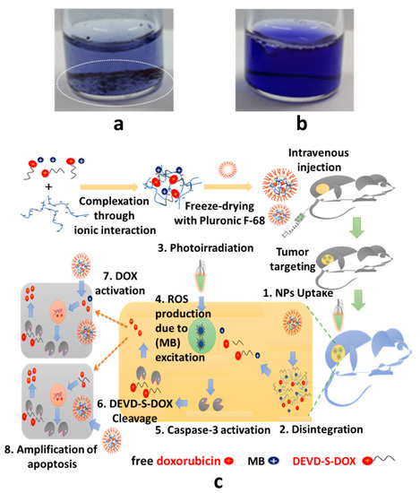 Pluronic F-68 and F-127 Based Nanomedicines for Advancing Combination ...