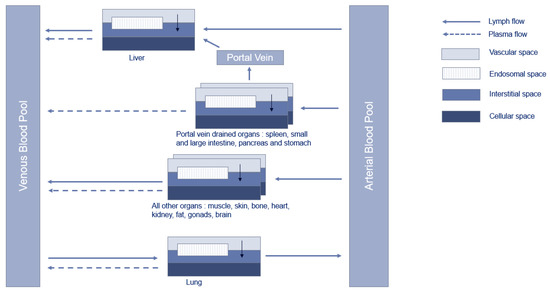 Translation of Monoclonal Antibodies Pharmacokinetics from Animal to ...