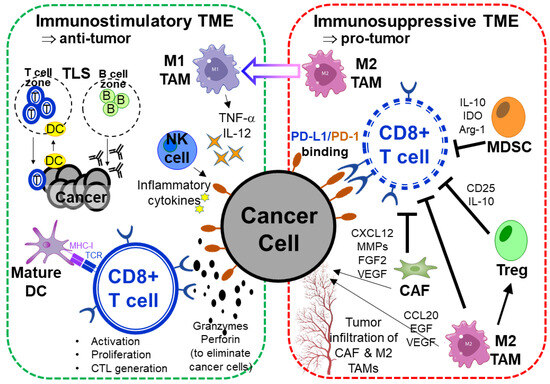 Drug Repurposing to Circumvent Immune Checkpoint Inhibitor Resistance in Cancer Immunotherapy
