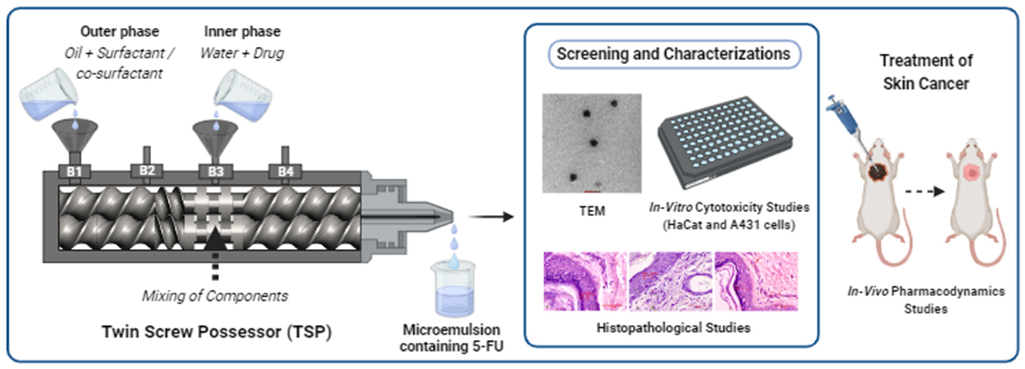 Pharmaceutics | Free Full-Text | Topical Micro-Emulsion of 5 ...
