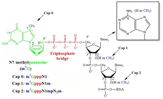 Recent Advances and Innovations in the Preparation and Purification of ...