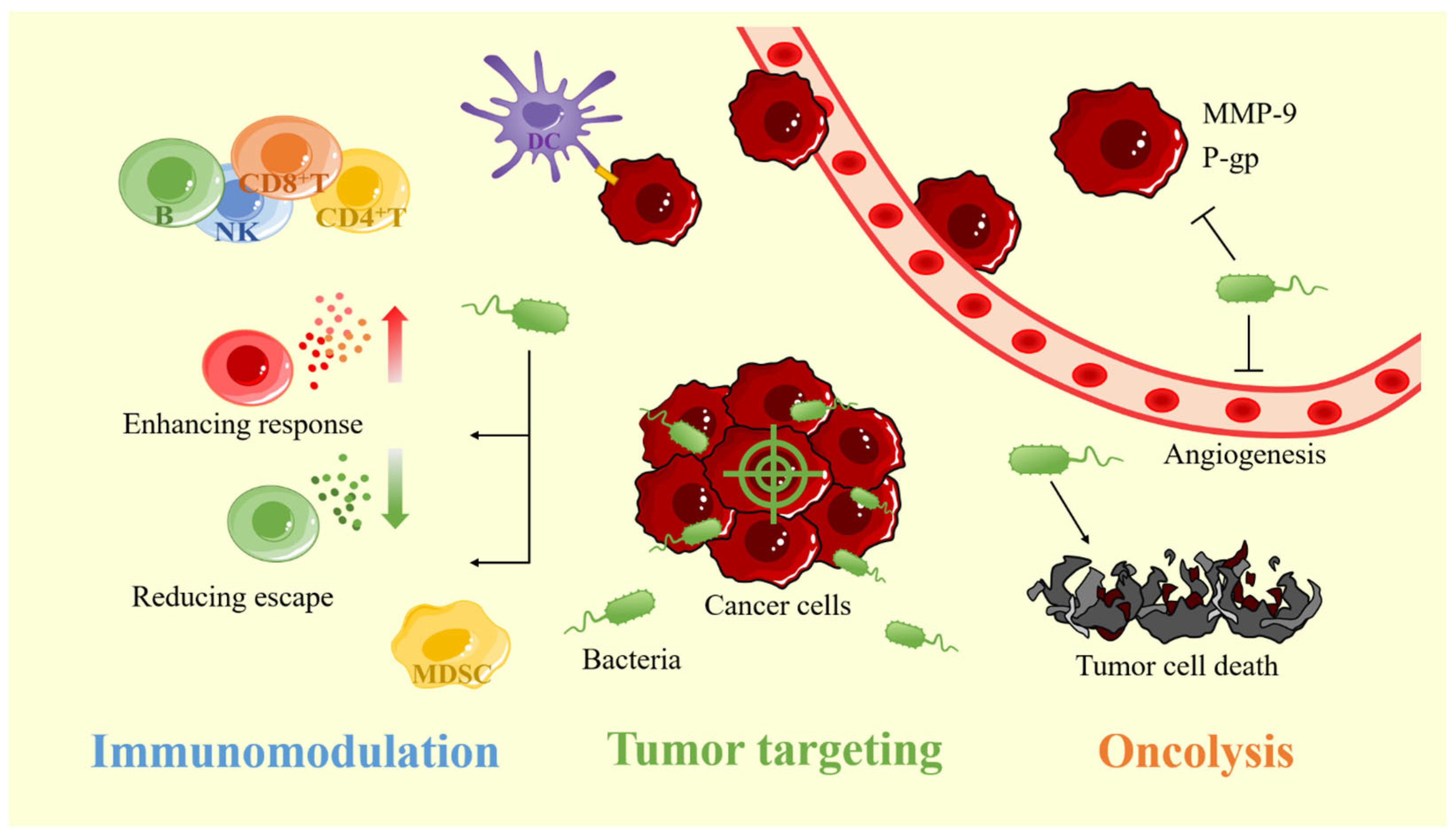 Bacterial Drug Delivery Systems for Cancer Therapy: “Why” and “How”