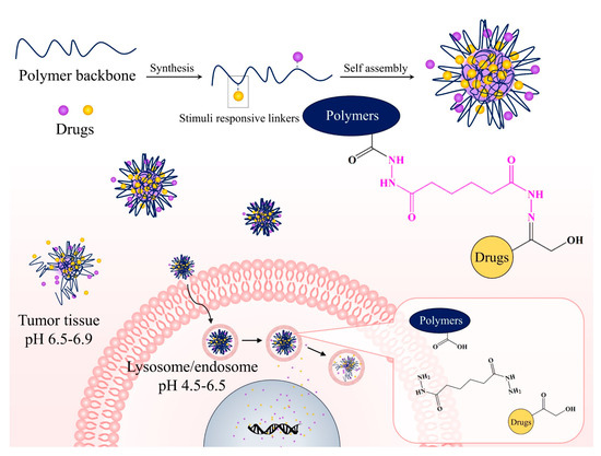 Innovative Design of Targeted Nanoparticles: Polymer–Drug Conjugates ...