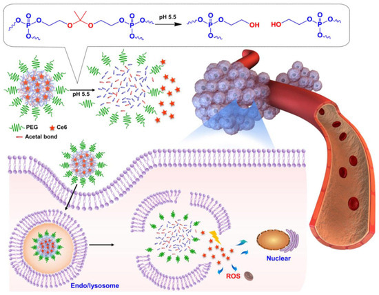 Hyperbranched Polymers: Recent Advances in Photodynamic Therapy against ...