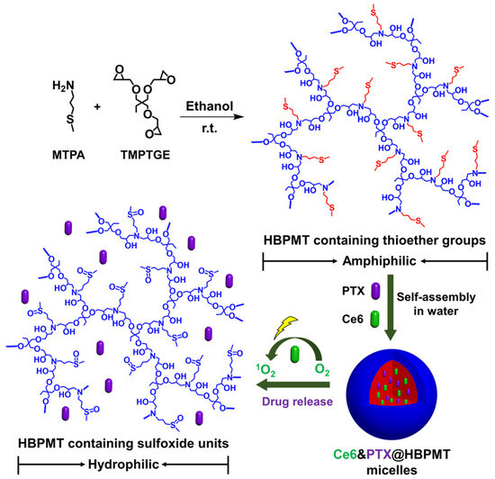 Hyperbranched Polymers: Recent Advances in Photodynamic Therapy against ...