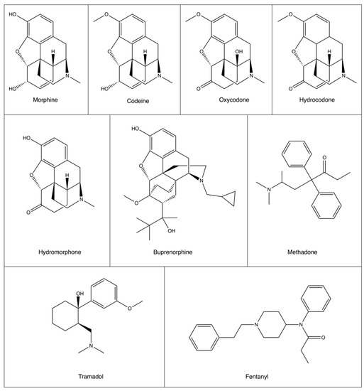 Impact of Opioids on Cellular Metabolism: Implications for Metabolic ...