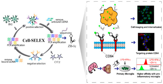 Recent Advances in Targeted Drug Delivery Strategy for Enhancing ...