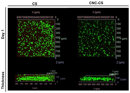 Injectable pH and Thermo-Responsive Hydrogel Scaffold with Enhanced Osteogenic Differentiation ...