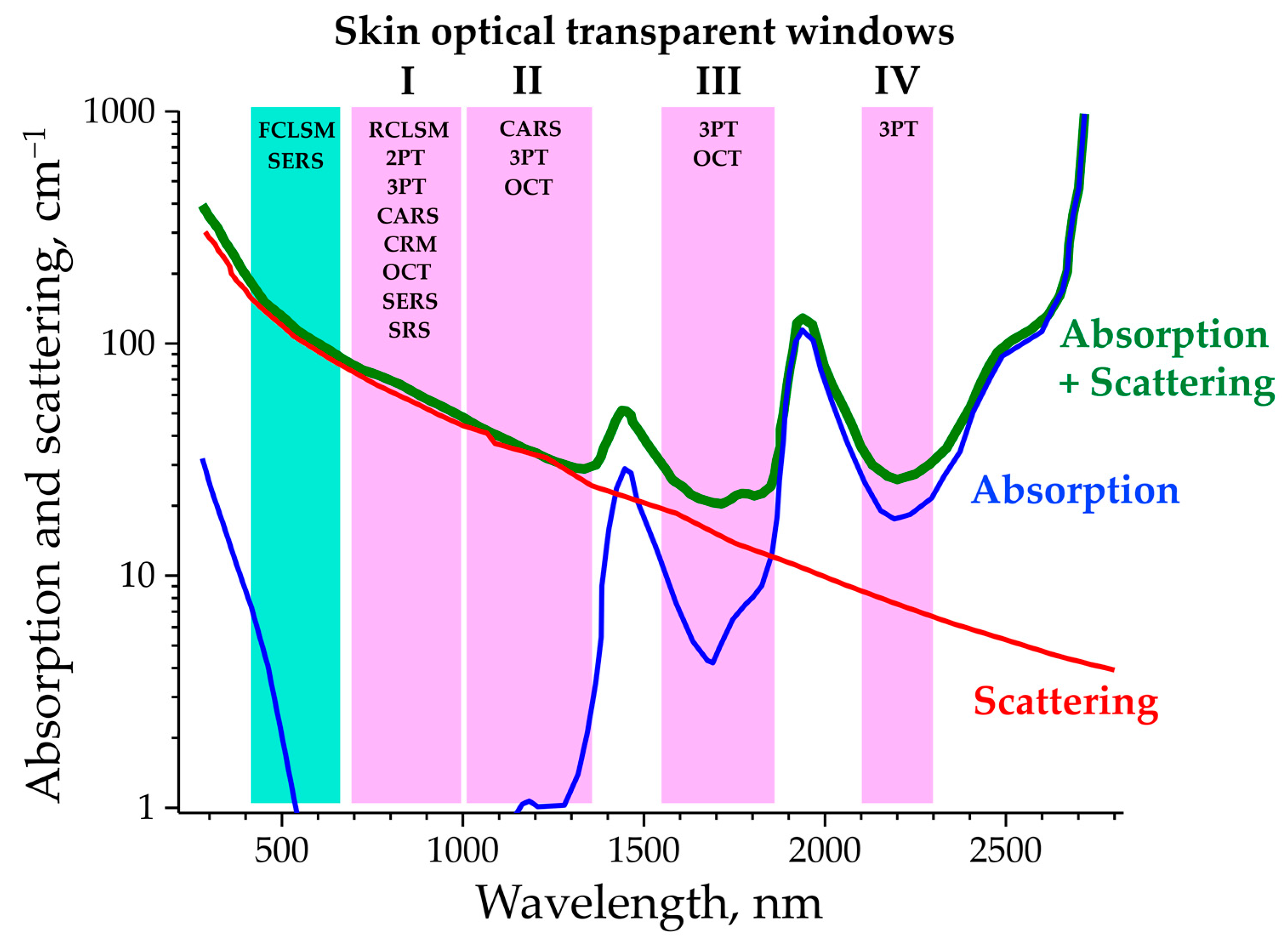 Optical Methods for Non-Invasive Determination of Skin Penetration ...