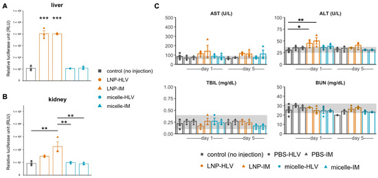Comprehensive Evaluation of Lipid Nanoparticles and Polyplex ...