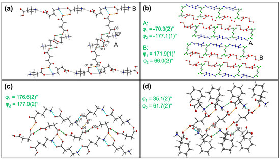 Polymorphism and Multi-Component Crystal Formation of GABA and Gabapentin