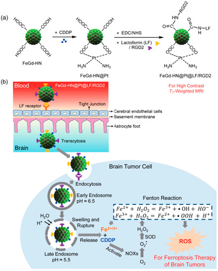 Pharmaceutics | Free Full-Text | Advancements in the Application of the ...