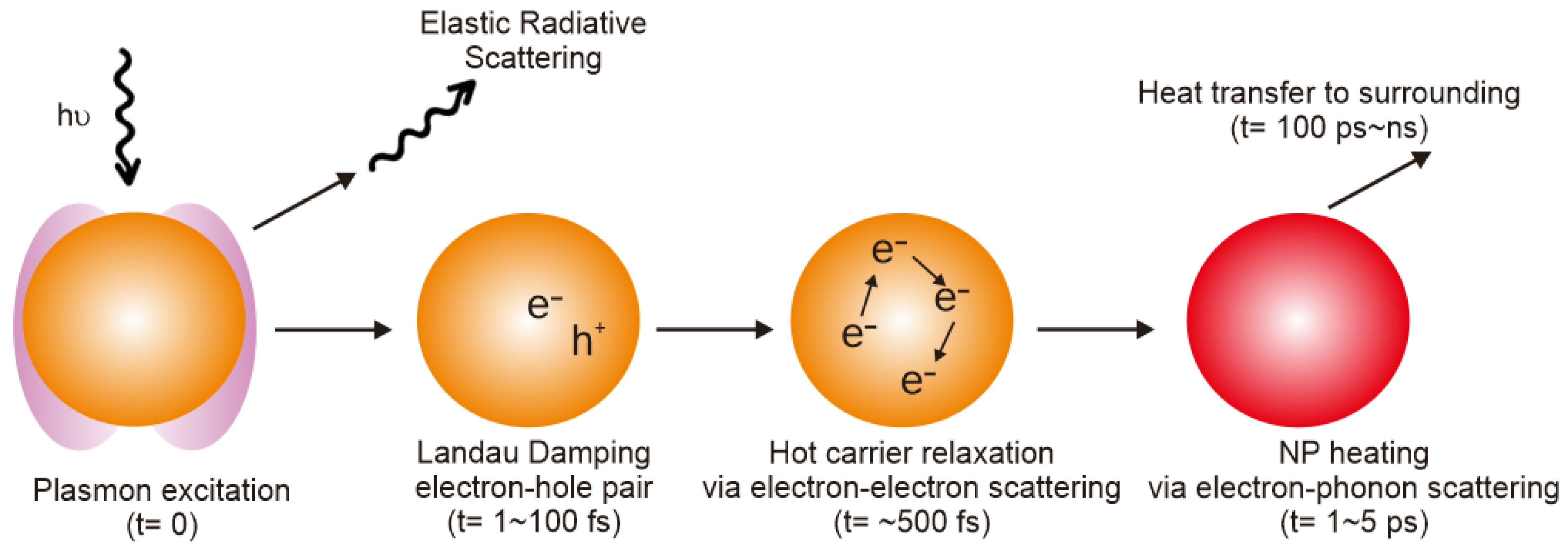Pharmaceutics | Free Full-Text | Photothermal Effect of Gold ...